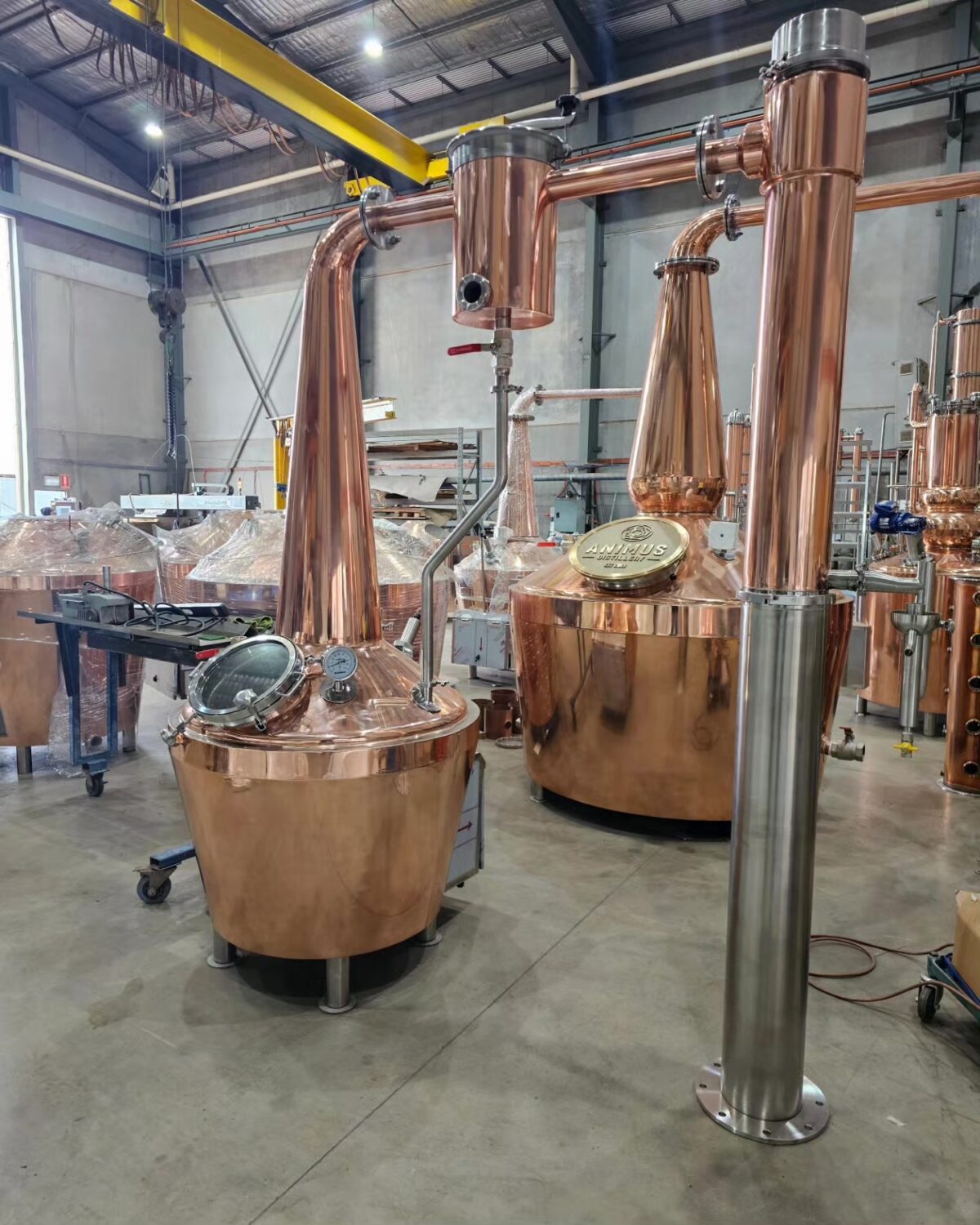 Copper Pot Still 300 litre Gin/Whisky » Burns Welding